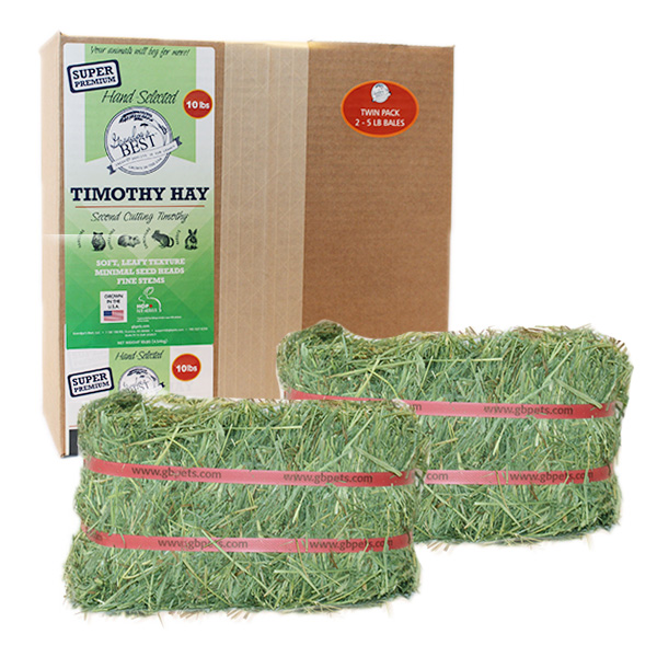 Second Cutting Timothy Hay Mini Bale – 10lb - Grandpa's Best