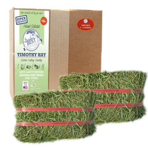 Why use hay as Tortoise Bedding - Grandpa's Best Hay